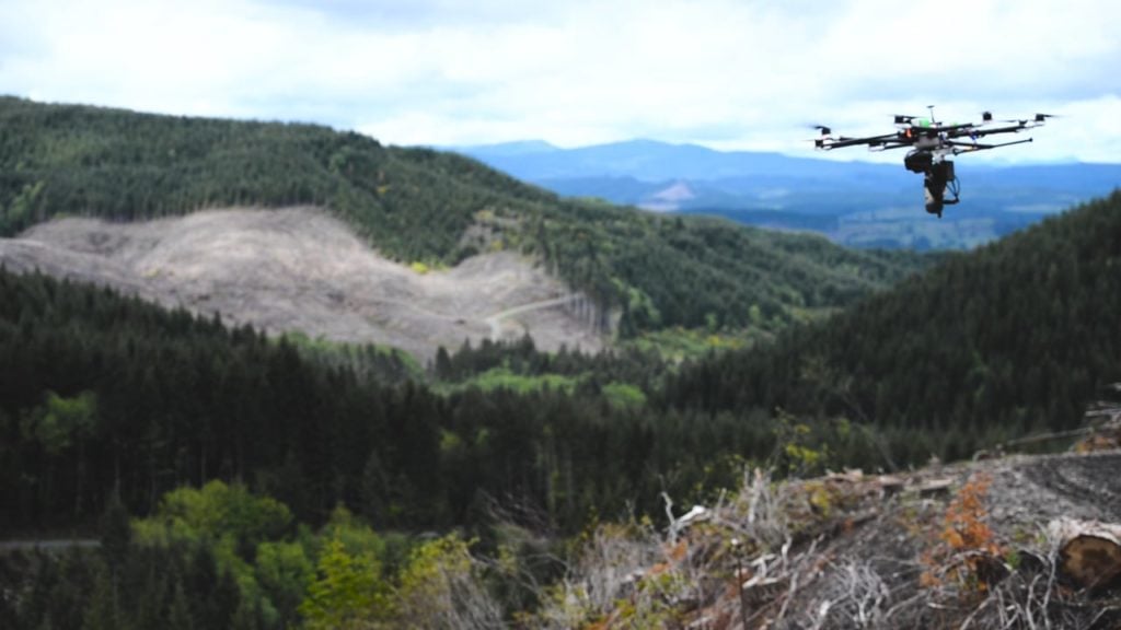 DroneSeed: piantare alberi con un drone - Il Blog di Beppe Grillo