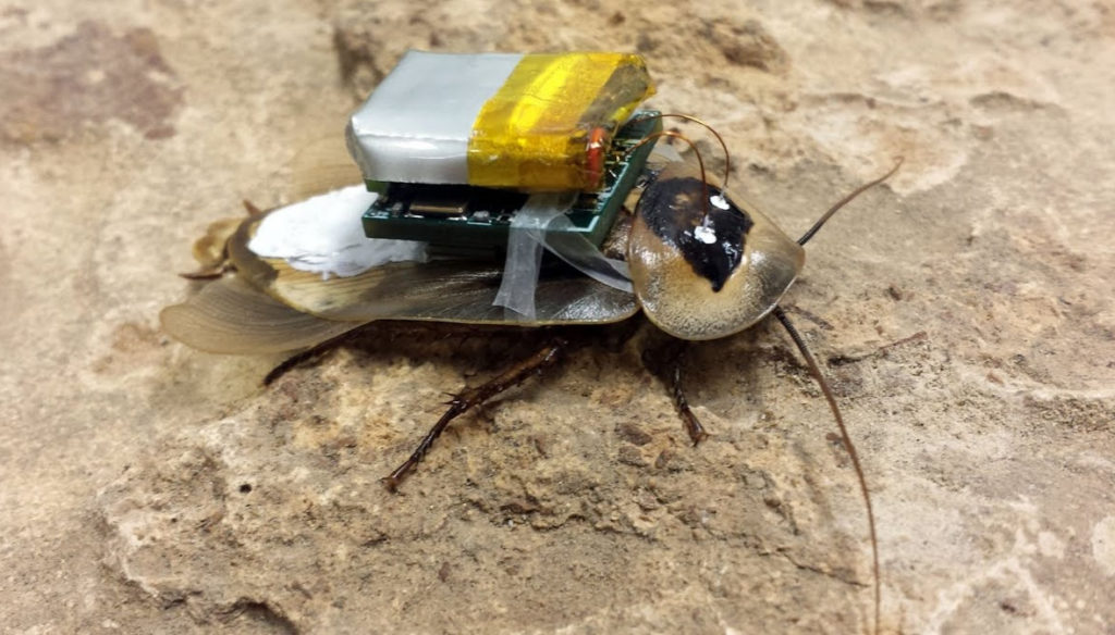 Quo usque tandem - Il Blog di Beppe Grillo