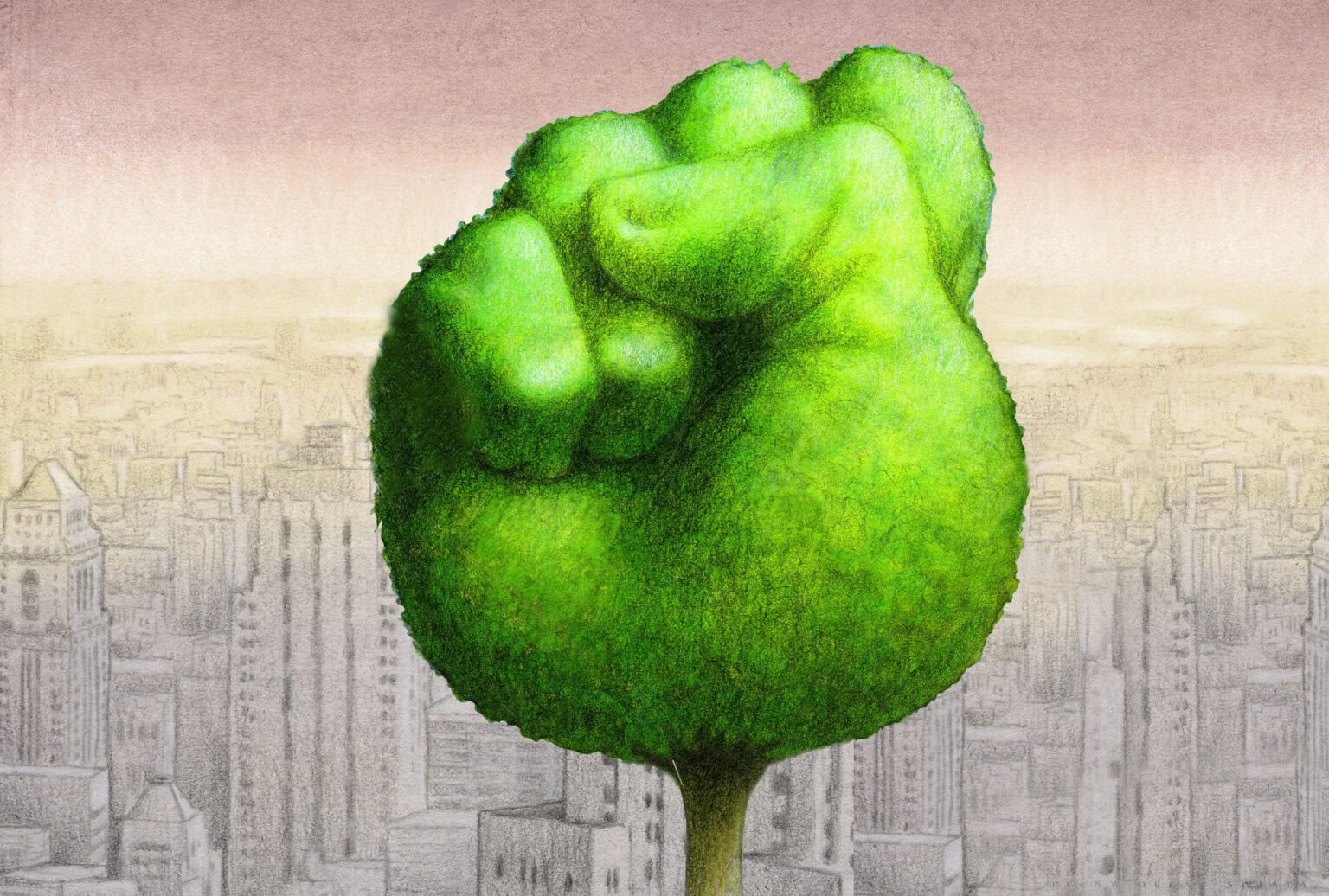 La pratica rende perfetti? - Il Blog di Beppe Grillo